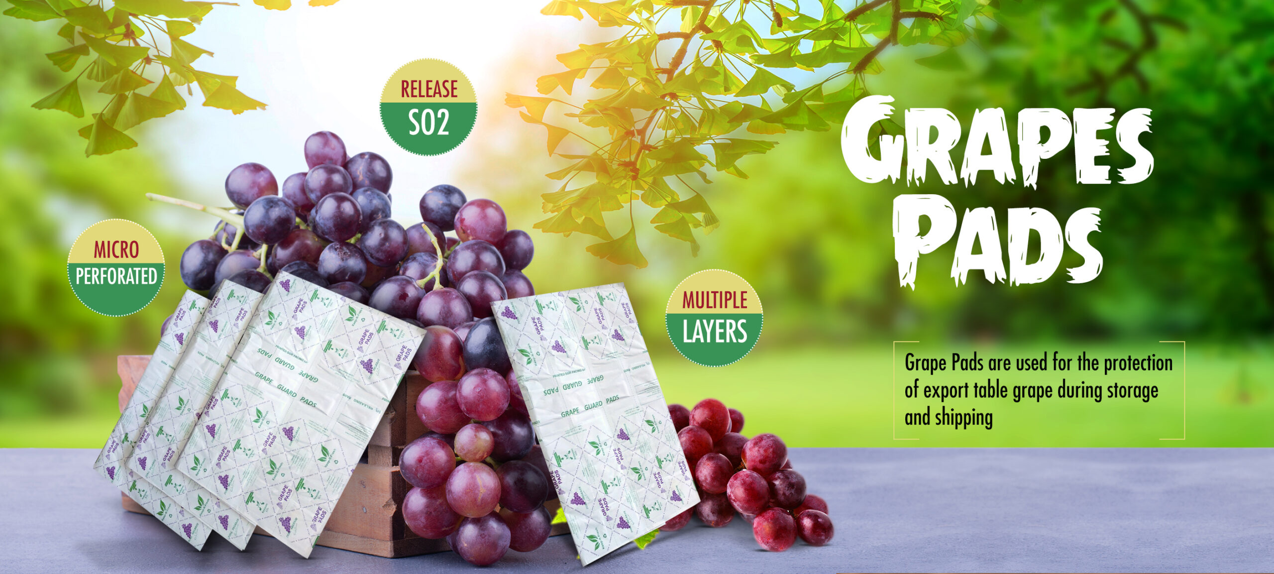 Keep It Fresh – Shelf Life Extension