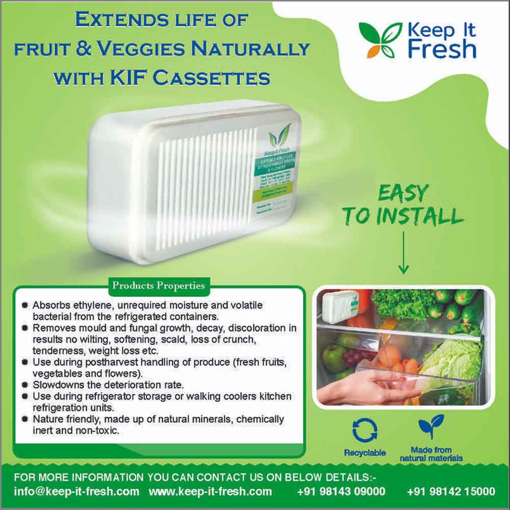 Ethylene Absorbing Cassettes: The Science Behind Freshness – Keep It Fresh