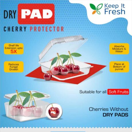 KIF DRY PADS – Keep It Fresh