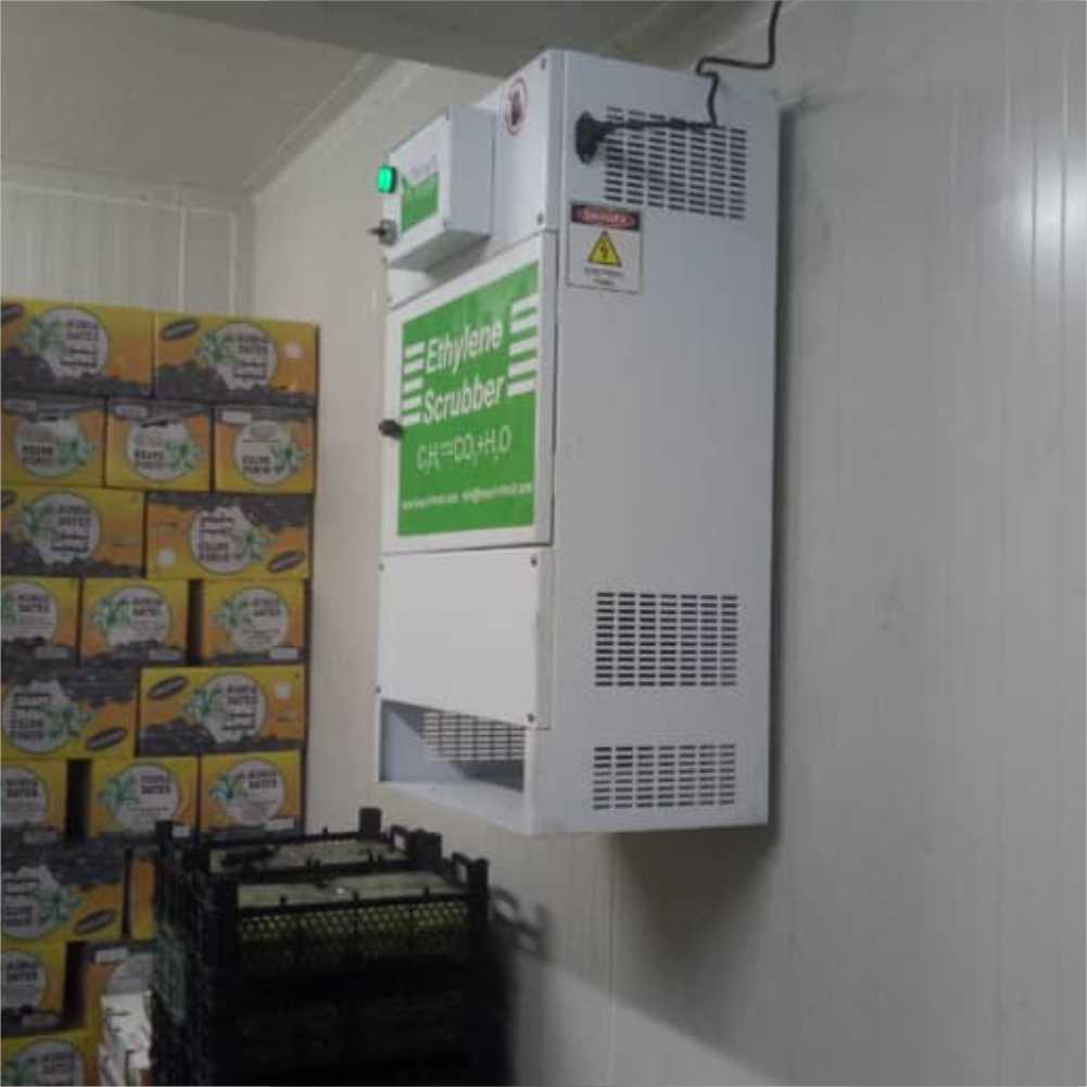 Keep It Fresh – Shelf Life Extension