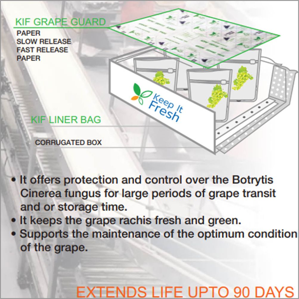 KIF Grape Pads – Keep It Fresh