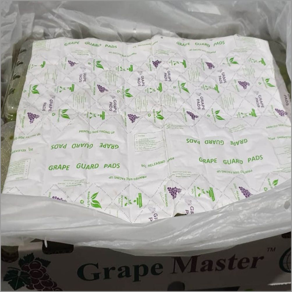 KIF Grape Pads – Keep It Fresh